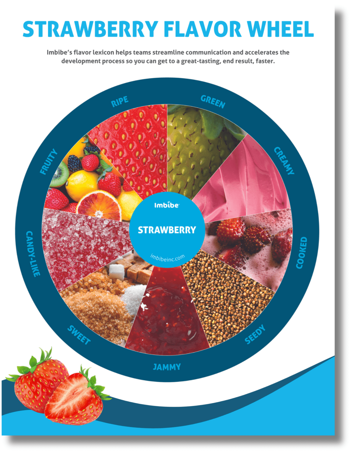 Flavor Wheel – Strawberry – Imbibe