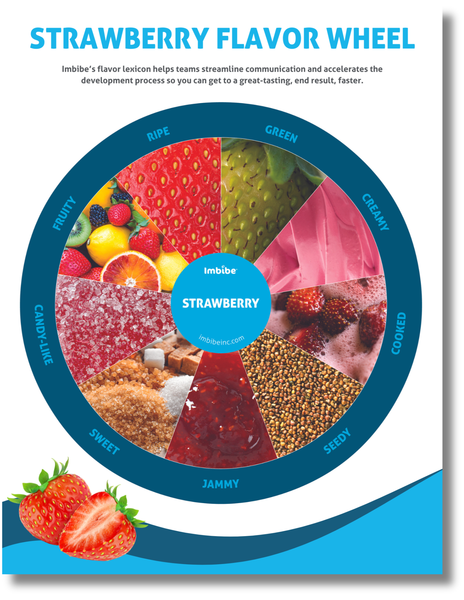 Flavor Wheel – Strawberry – Imbibe