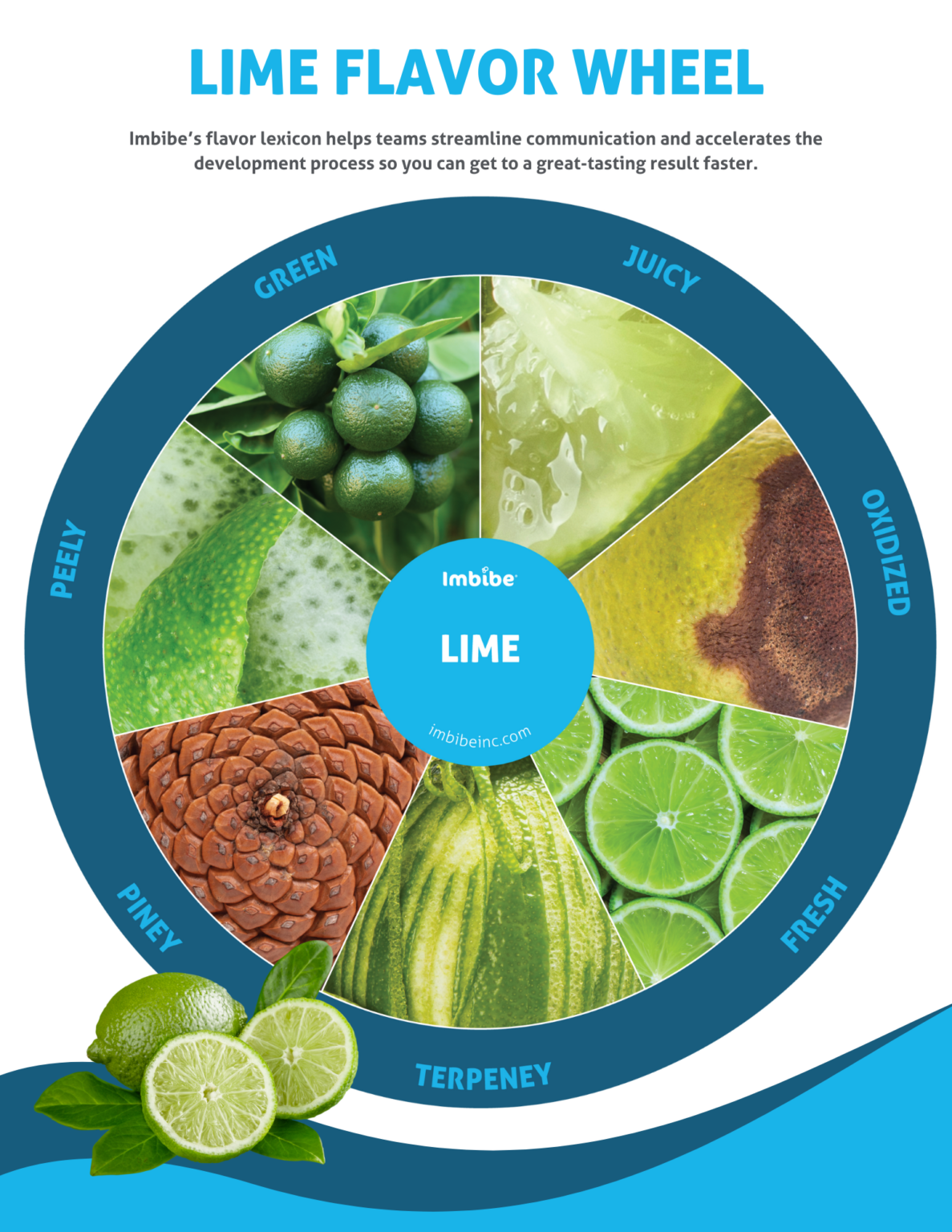 Flavor Wheel – Lime – Imbibe