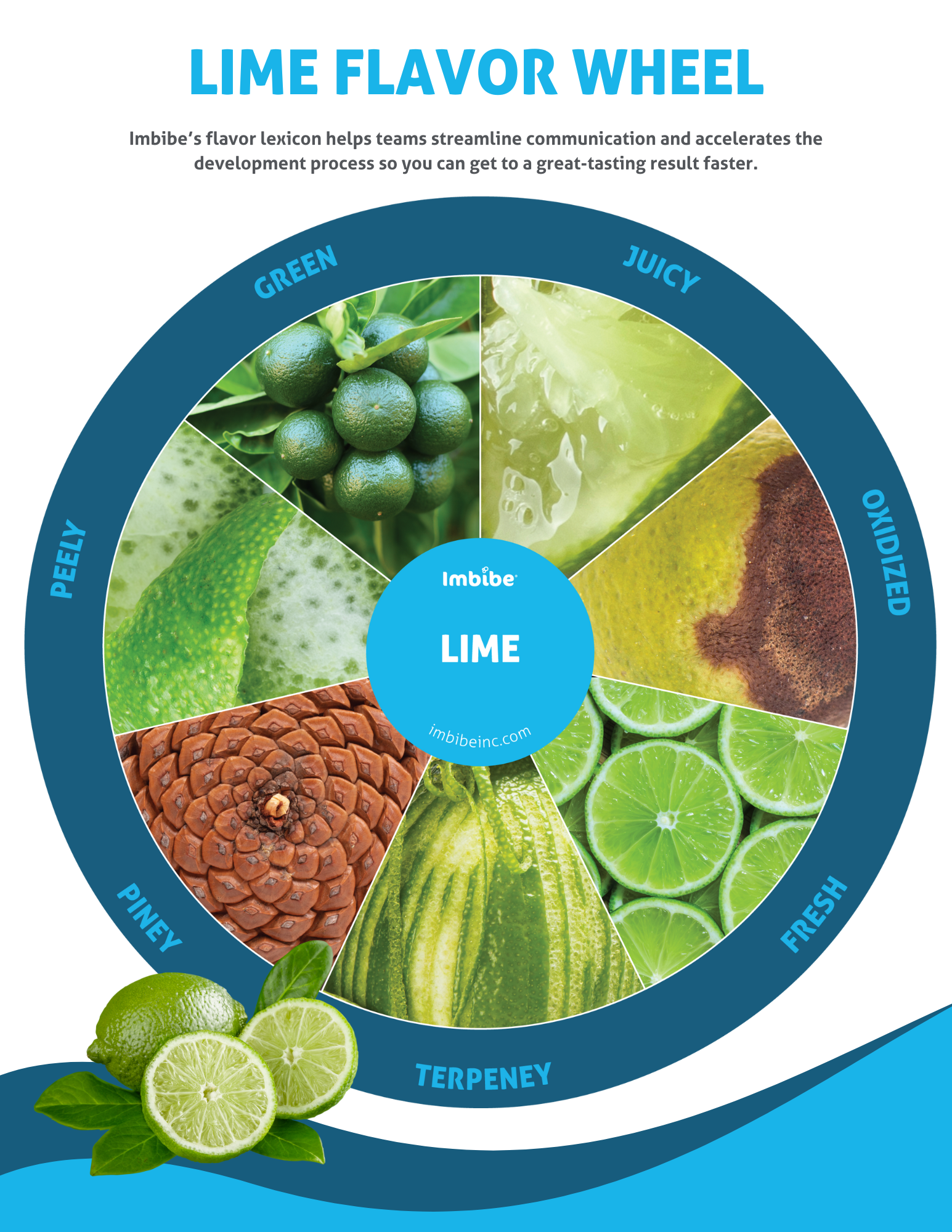 Lime Flavor Wheel - Explore Imbibe's Flavor Lexicon