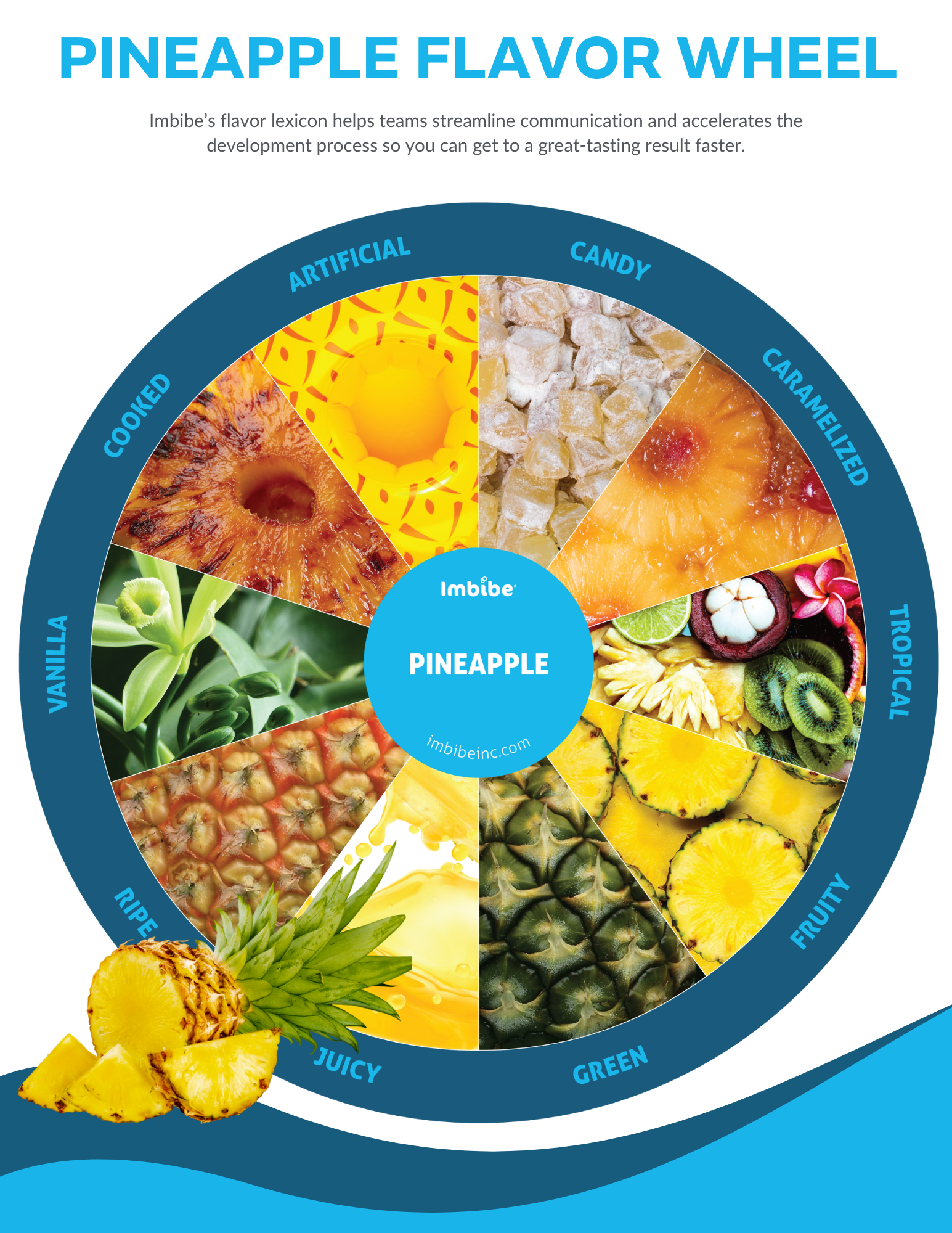 Pineapple Flavor Wheel - Explore Imbibe's Flavor Lexicon